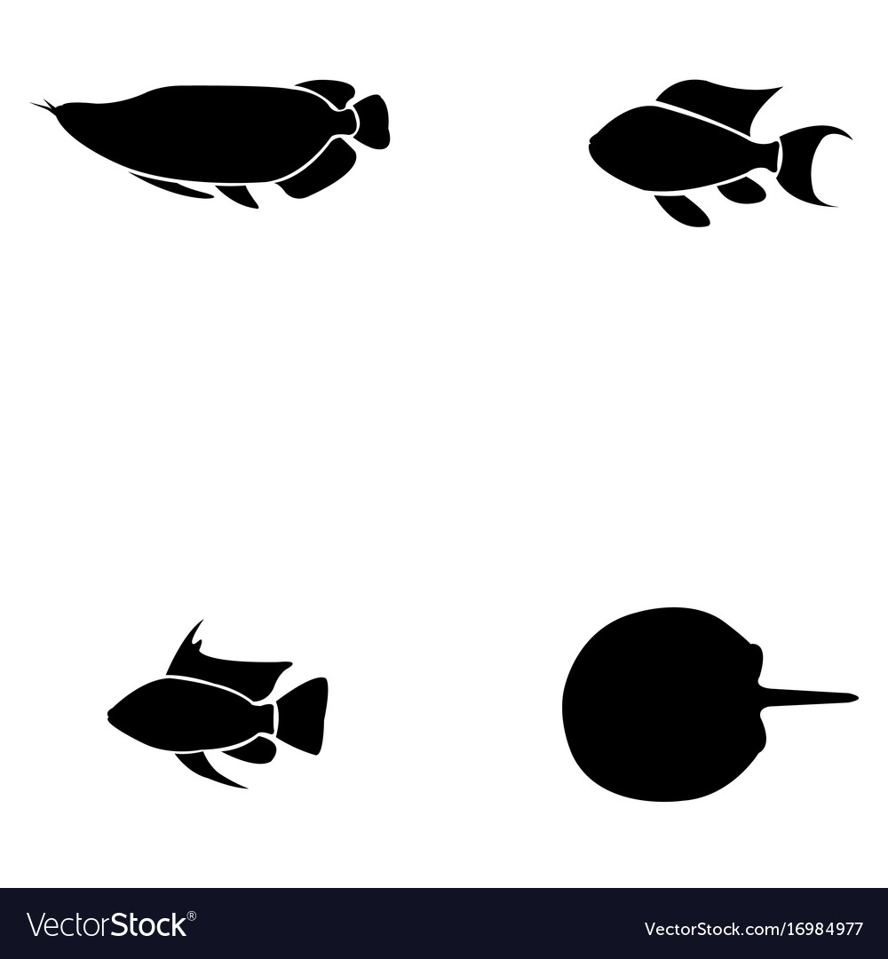 Fish icon set Royalty Free Vector Image - VectorStock