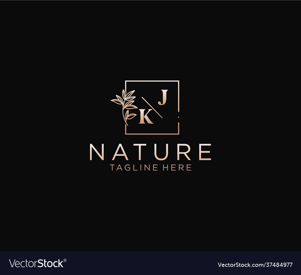 Initial jk letters beautiful floral feminine Vector Image