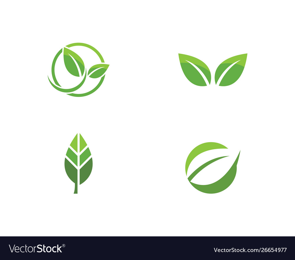 Tree leaf logo design Royalty Free Vector Image