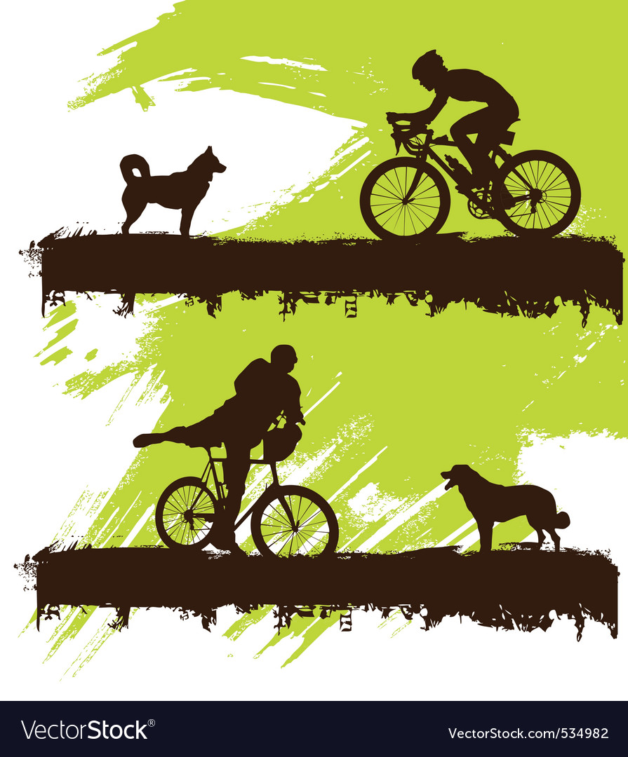 Bicycle Royalty Free Vector Image - VectorStock