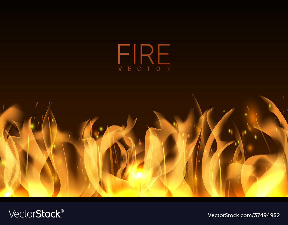 Burning fire background Royalty Free Vector Image