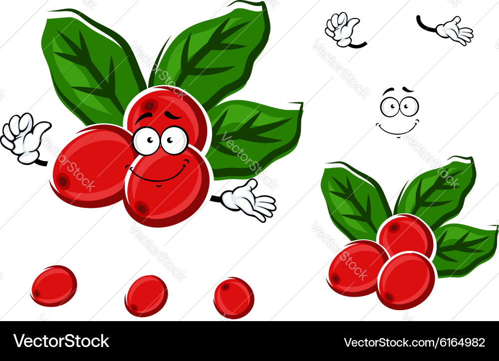 Cartoon red berries coffee with leaves Royalty Free Vector