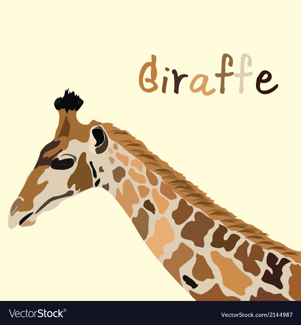 Giraffe head Royalty Free Vector Image - VectorStock