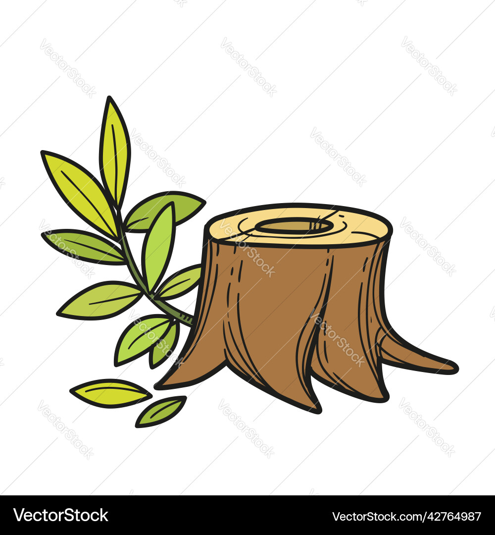 Not a big stump with a young tree sprout color Vector Image