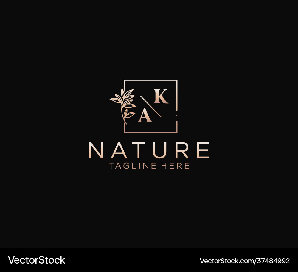 Initial ka letters beautiful floral feminine Vector Image