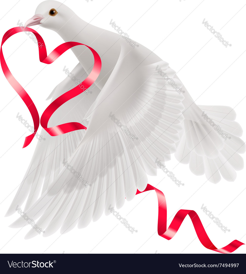 Dove Royalty Free Vector Image - VectorStock