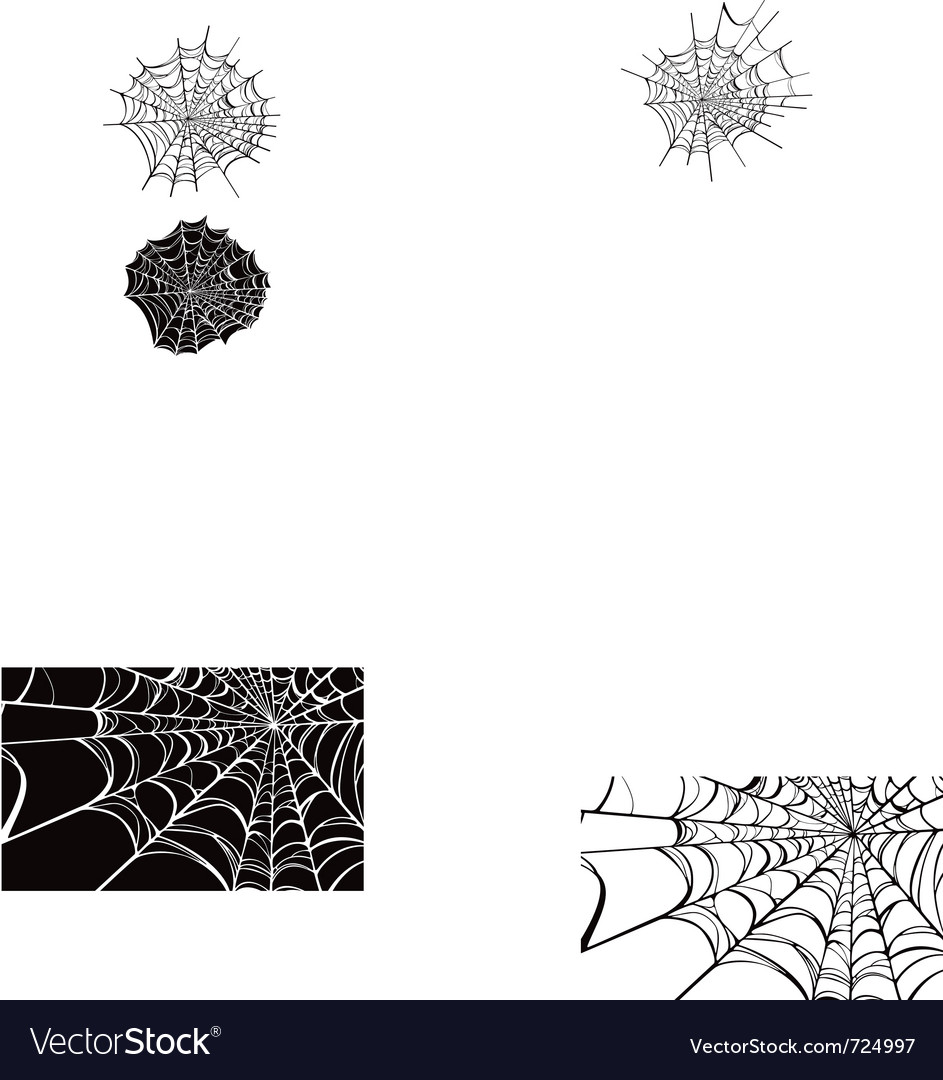 Spider webs Royalty Free Vector Image - VectorStock