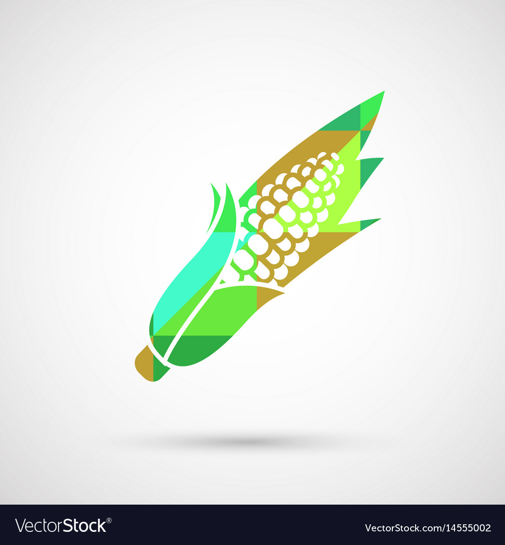 Corn isolated Royalty Free Vector Image - VectorStock