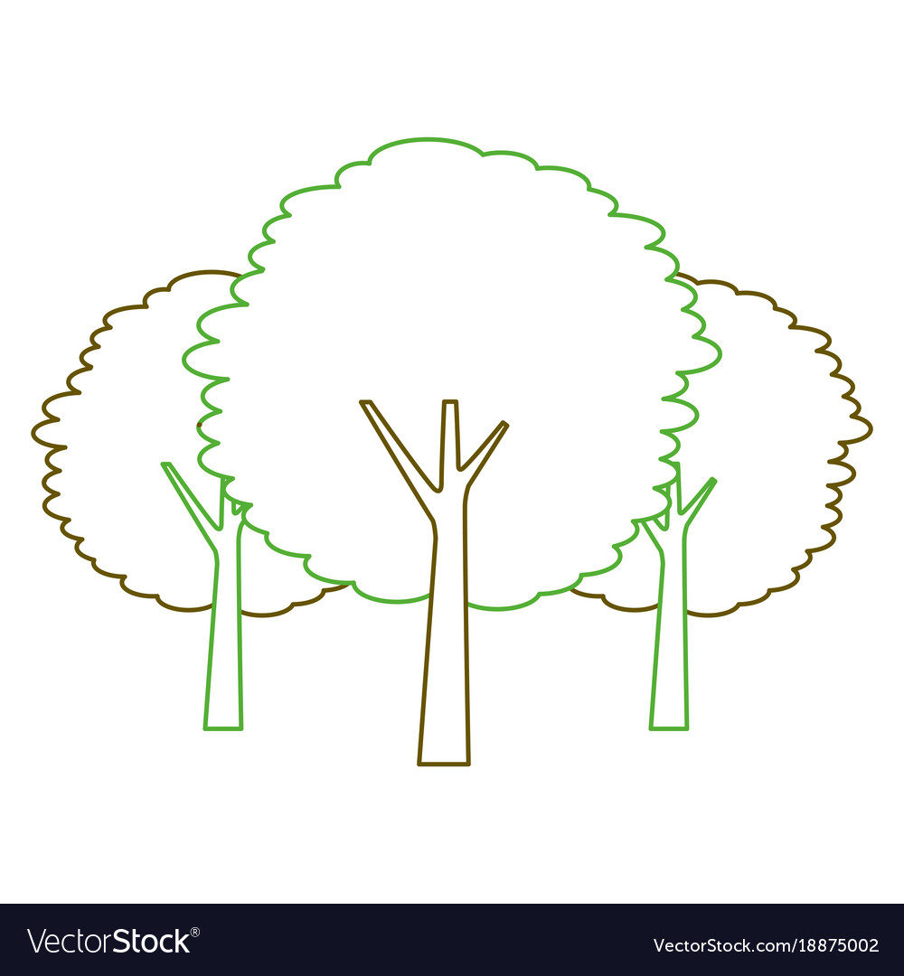 Green three tree plant botanical natural Vector Image
