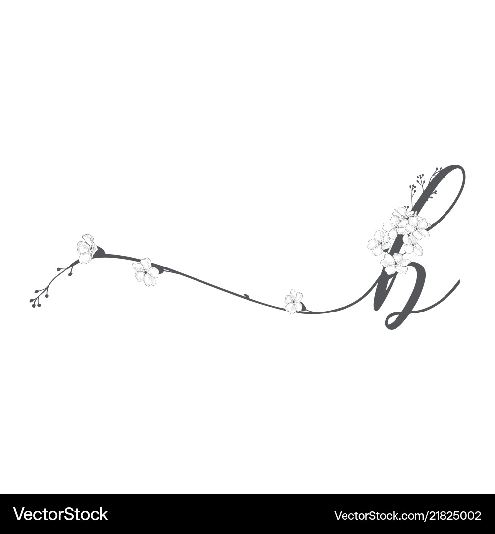Hand drawn floral b monogram and logo Royalty Free Vector
