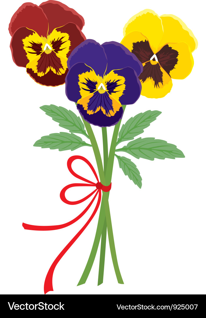 Bouquet of violets Royalty Free Vector Image - VectorStock