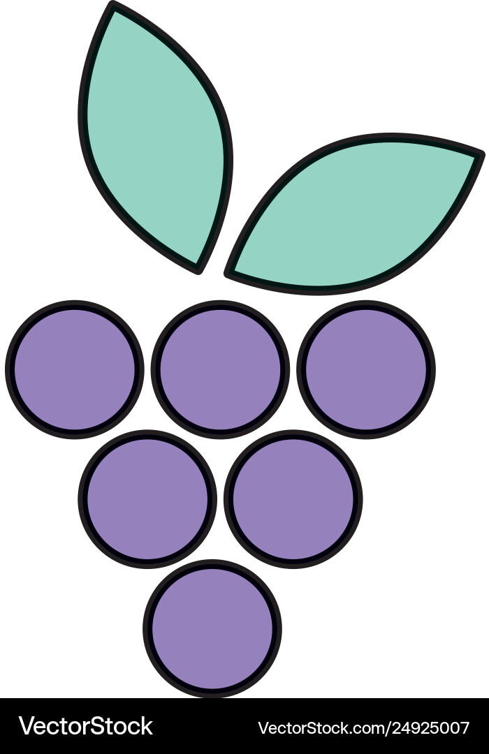Fresh grapes fruits icon Royalty Free Vector Image