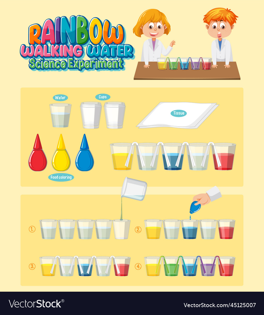 Rainbow walking water science experiment Vector Image
