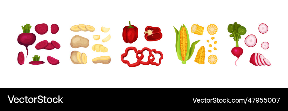 Raw vegetable sliced or chopped as cooking Vector Image