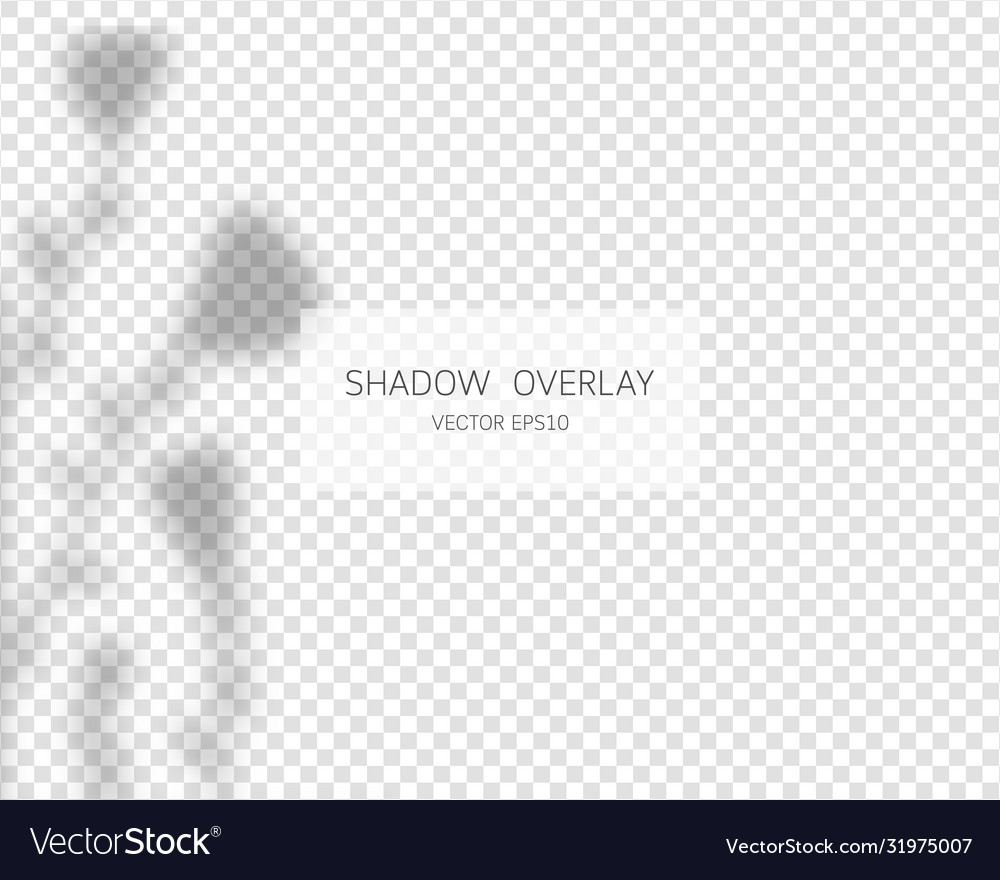 Shadow overlay effect Royalty Free Vector Image