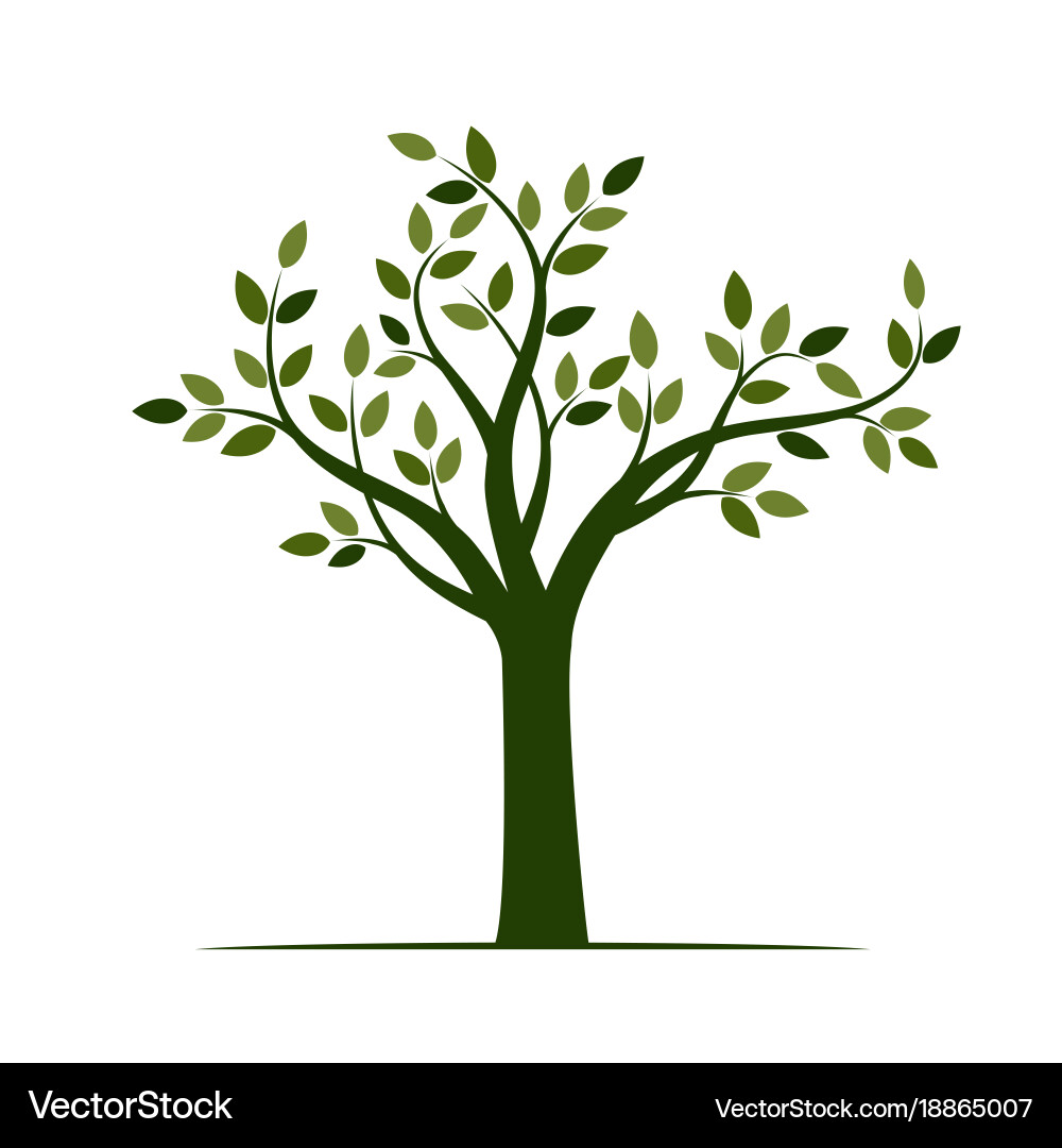 Shape of green tree with leaves Royalty Free Vector Image
