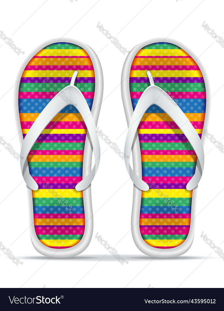 Beach slippers stock Royalty Free Vector Image