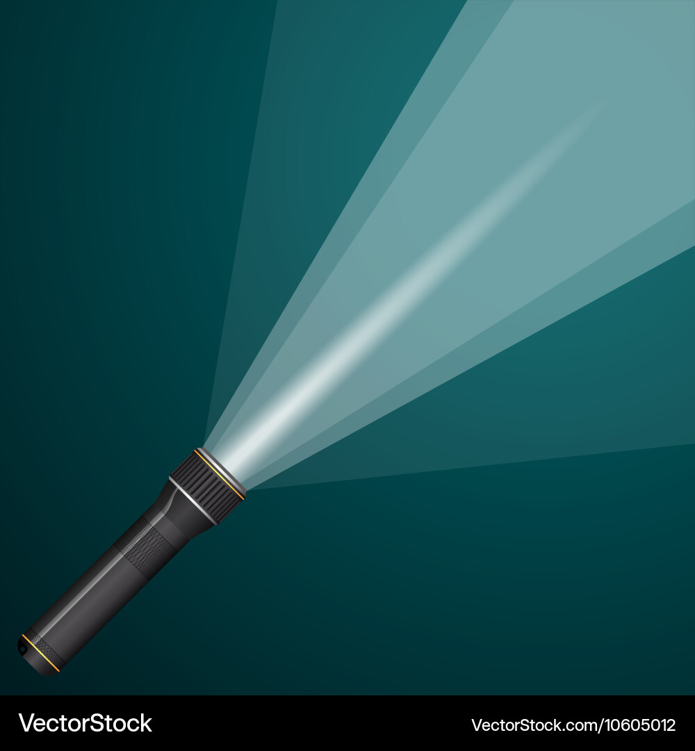 Beam light from a flashlight black and metal Vector Image