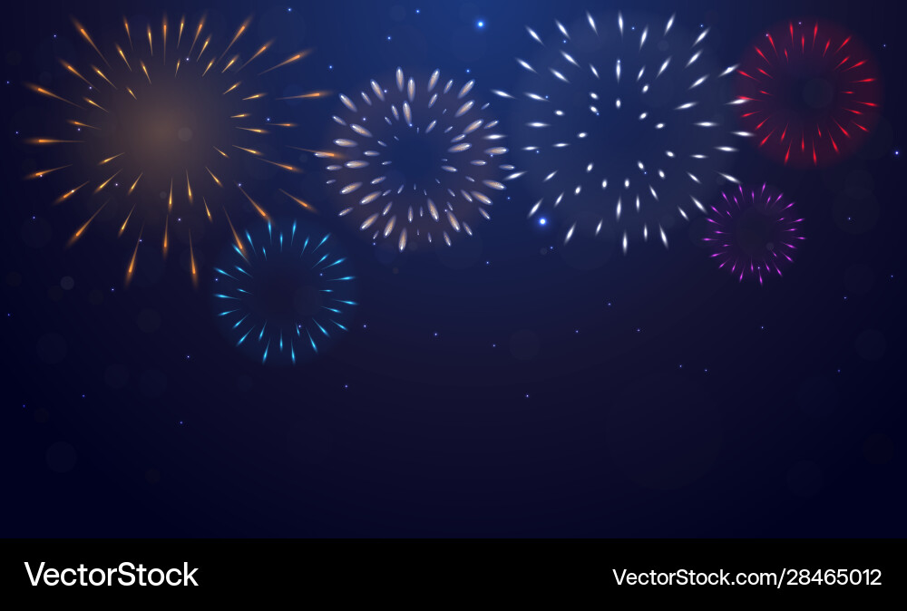Bright colorful fireworks on night background Vector Image