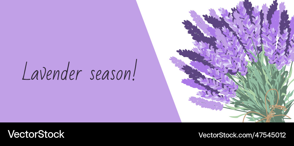 Lavender horizontal banner with flowers Royalty Free Vector