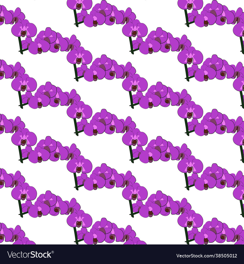 Orchid pattern Royalty Free Vector Image - VectorStock