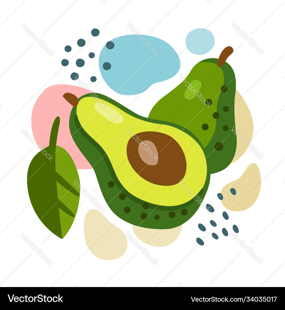 Fresh avocado on color abstract background Vector Image