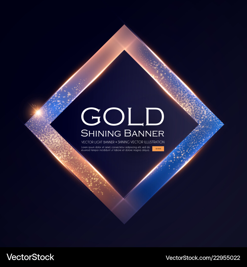 Elegant shining banner with glitter light effect Vector Image