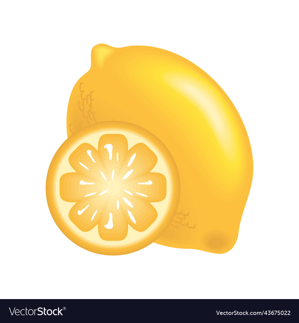 Realistic fruit lemon Royalty Free Vector Image