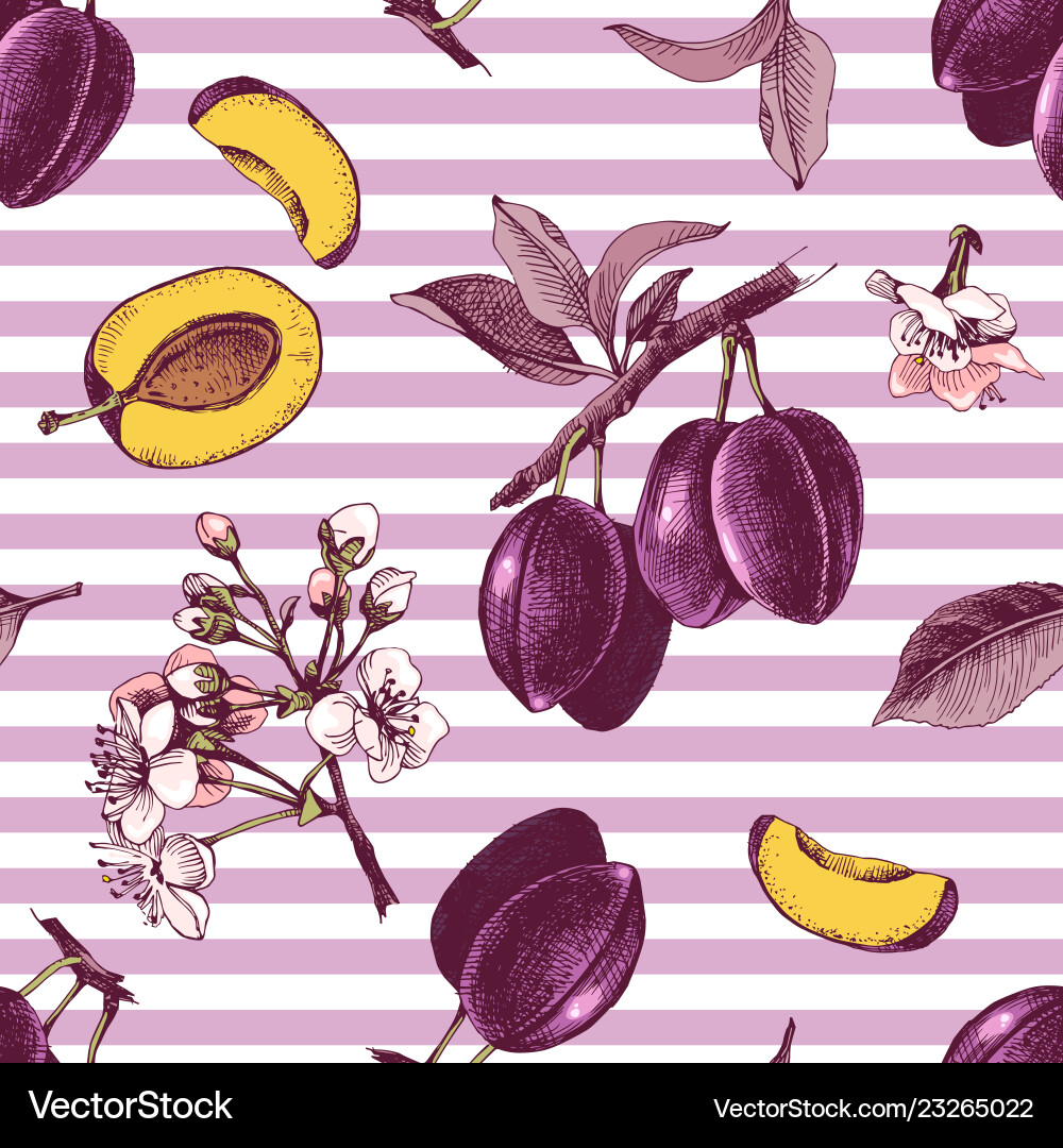 Seamless pattern with hand drawn plum flowers and Vector Image