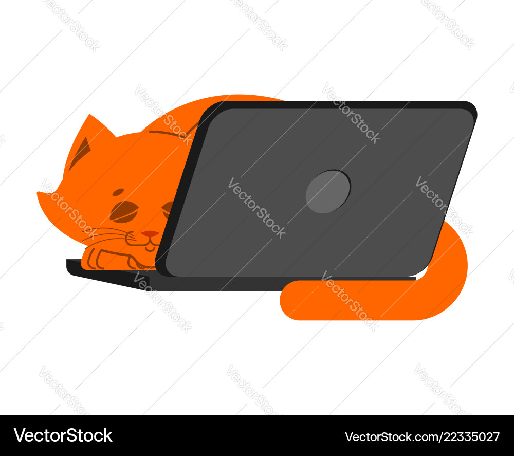 Cat and laptop home pet keyboard does not work Vector Image