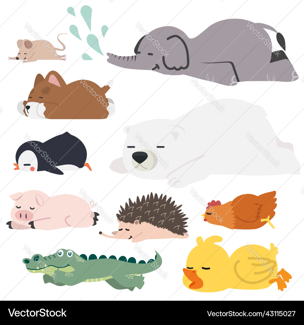 Cute cartoon animals sleeping collection Vector Image