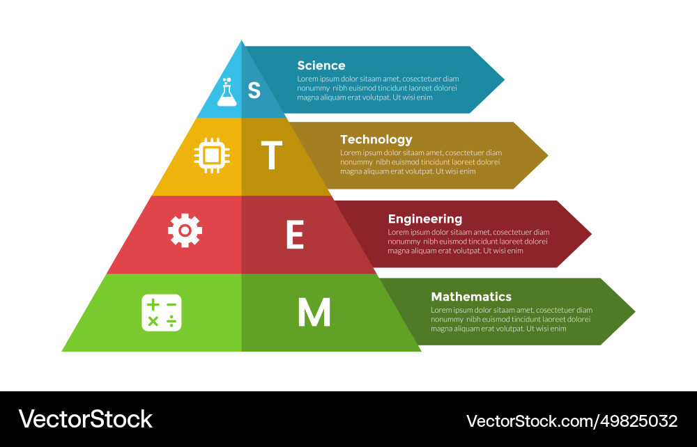 Stem education infographics template diagram with Vector Image