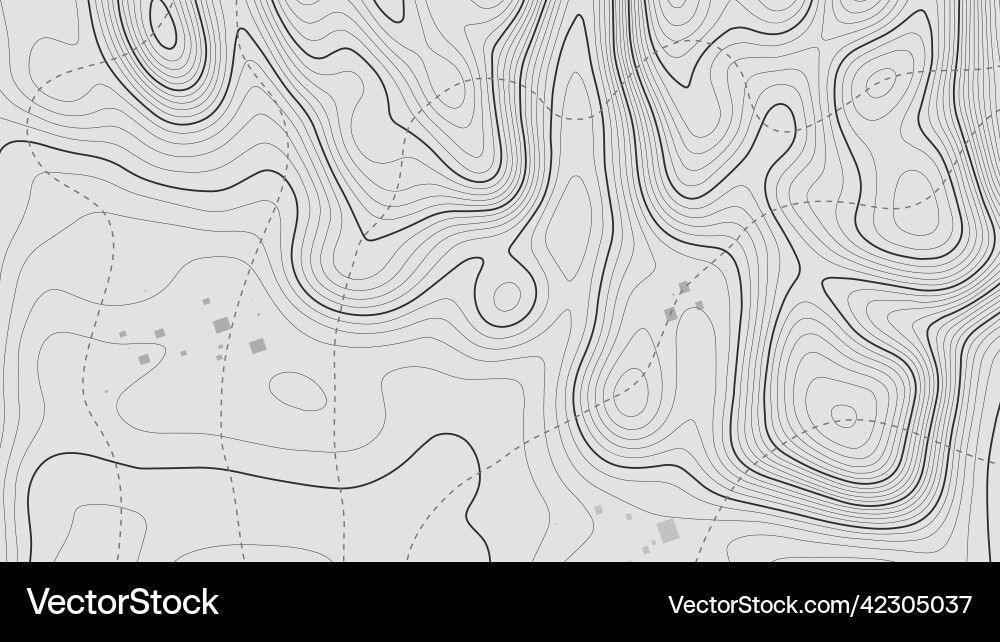 Abstract paper cut shapes topographic map Vector Image