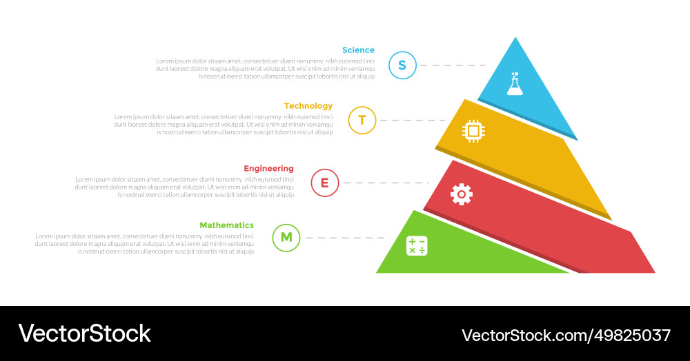 Stem education infographics template diagram with Vector Image