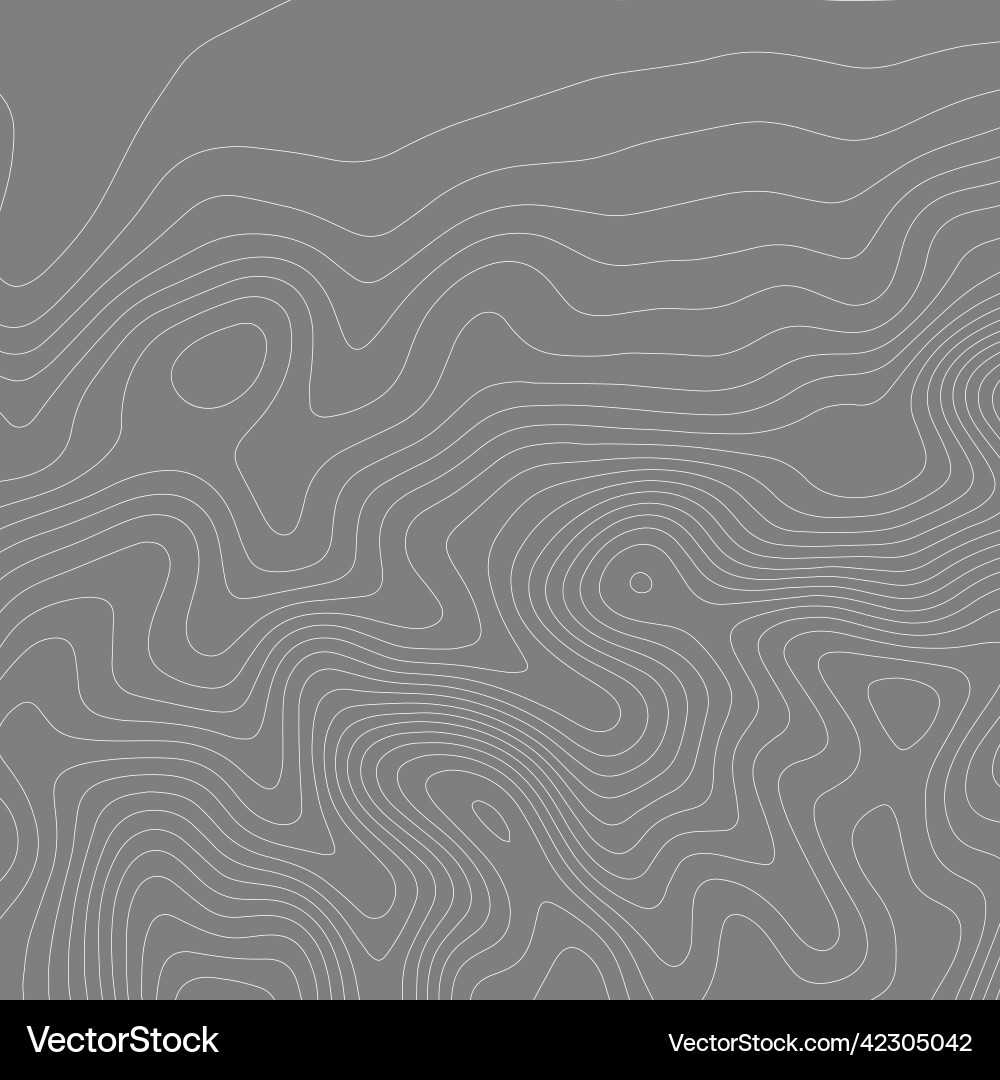Abstract paper cut shapes topographic map Vector Image