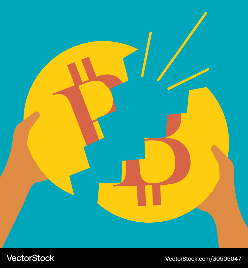 Halving bitcoina man holds in his hands two Vector Image