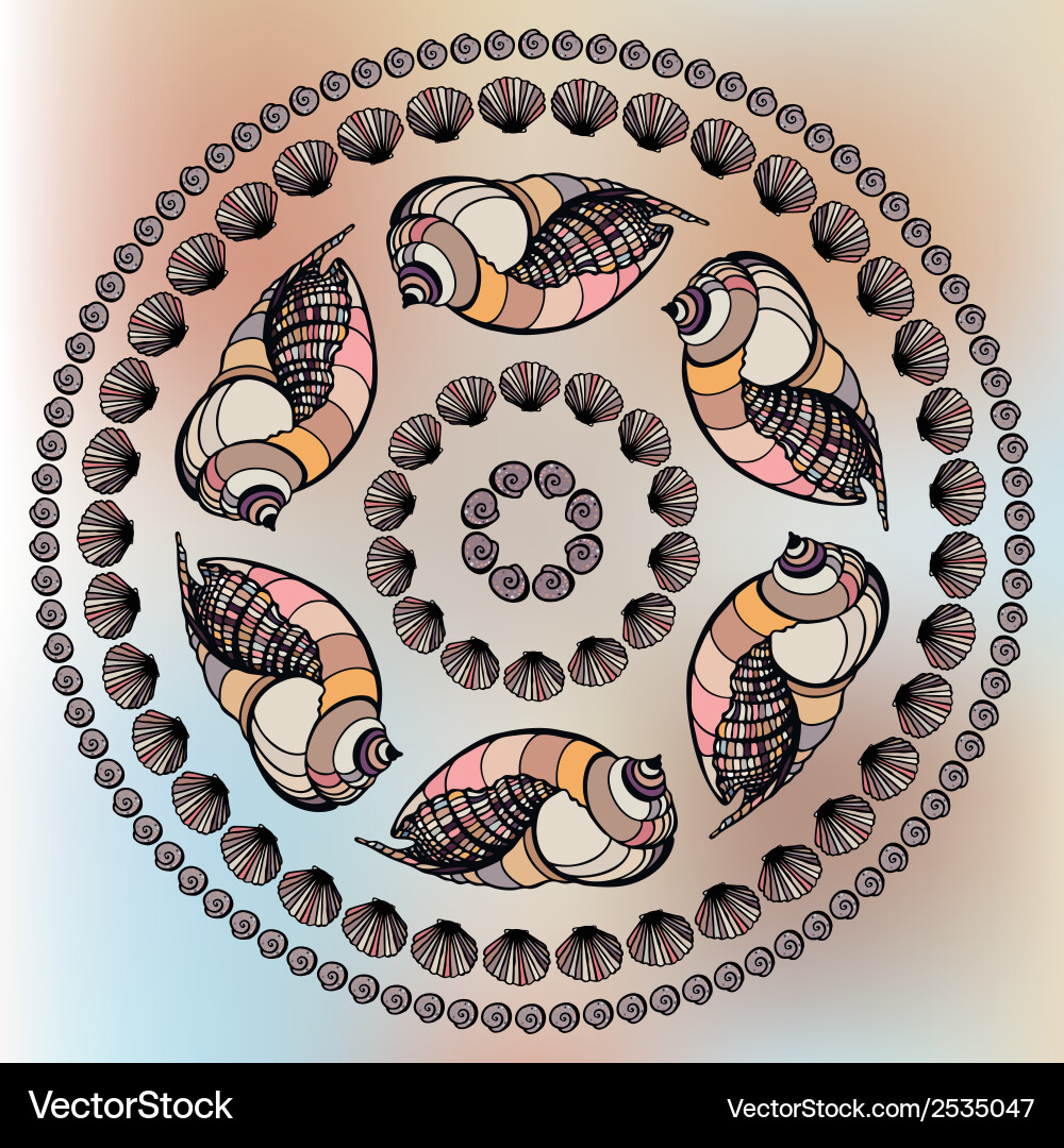 Mandala made of seashells Royalty Free Vector Image