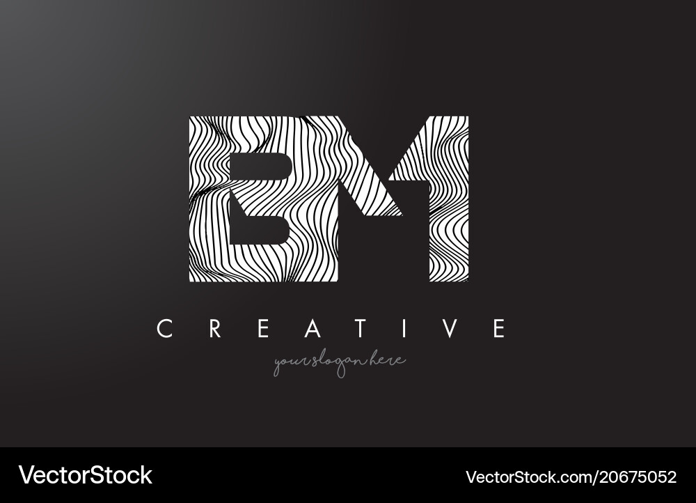 Bm b m letter logo with zebra lines texture Vector Image