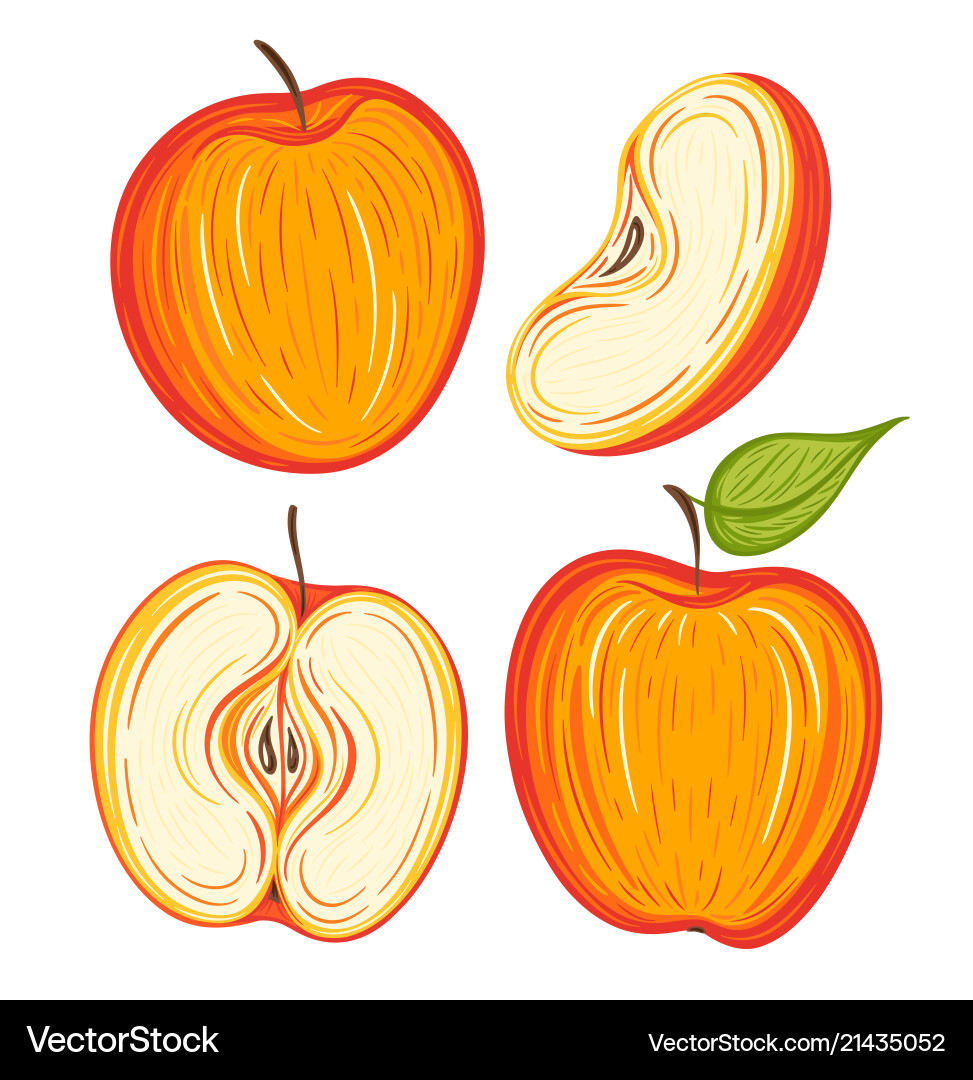 Colorful hand drawn red apples collection Vector Image