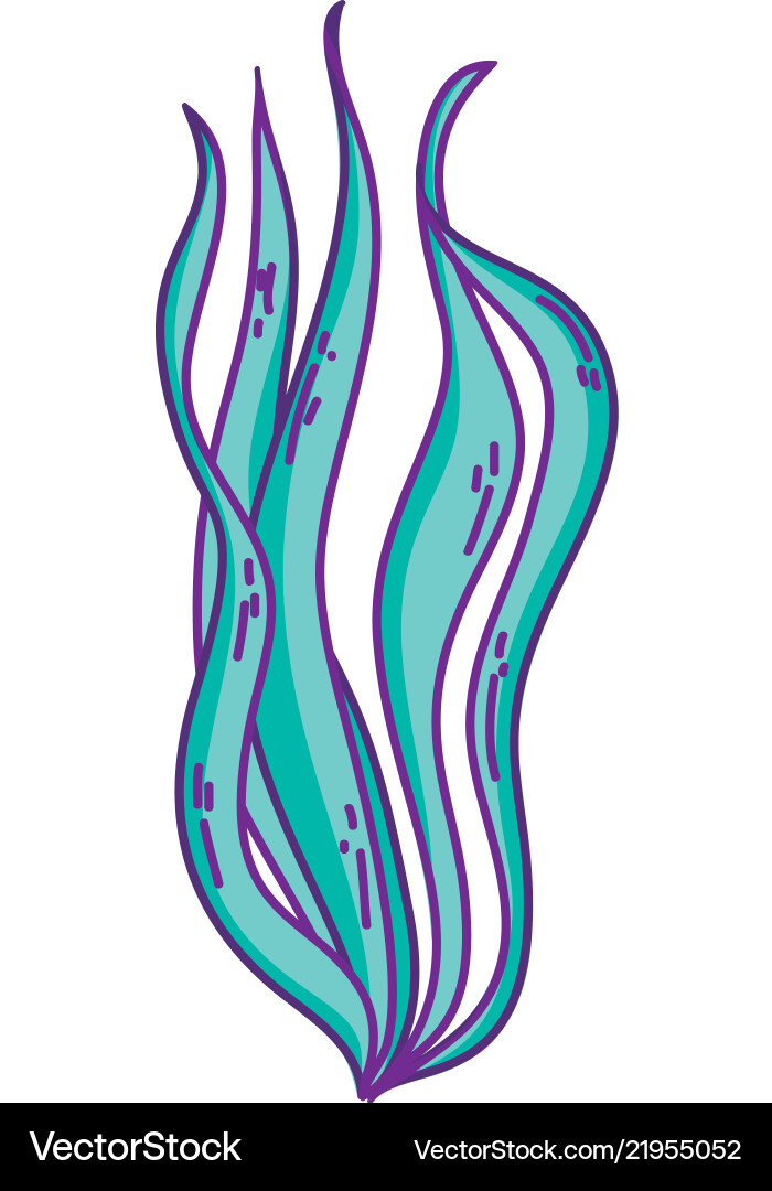 Seaweed cartoon isolated Royalty Free Vector Image