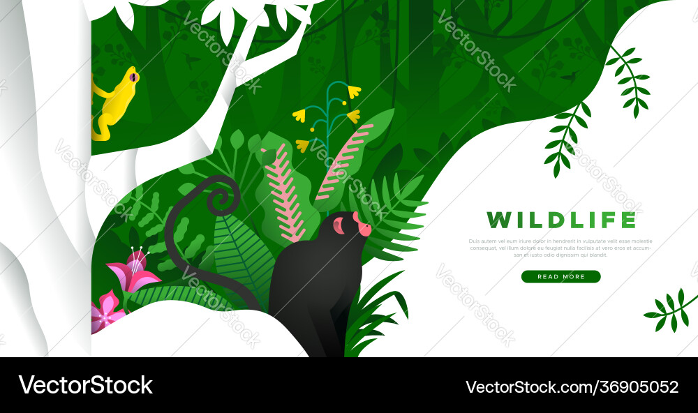 Wildlife landing page template jungle monkey Vector Image