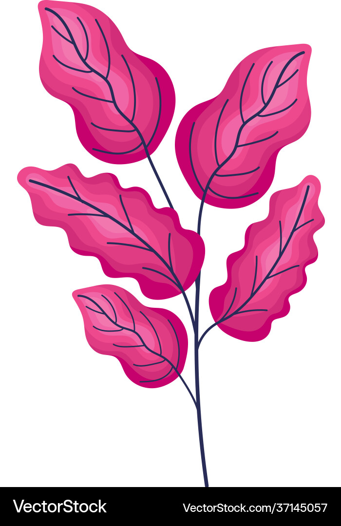 Beautiful pink leaves Royalty Free Vector Image