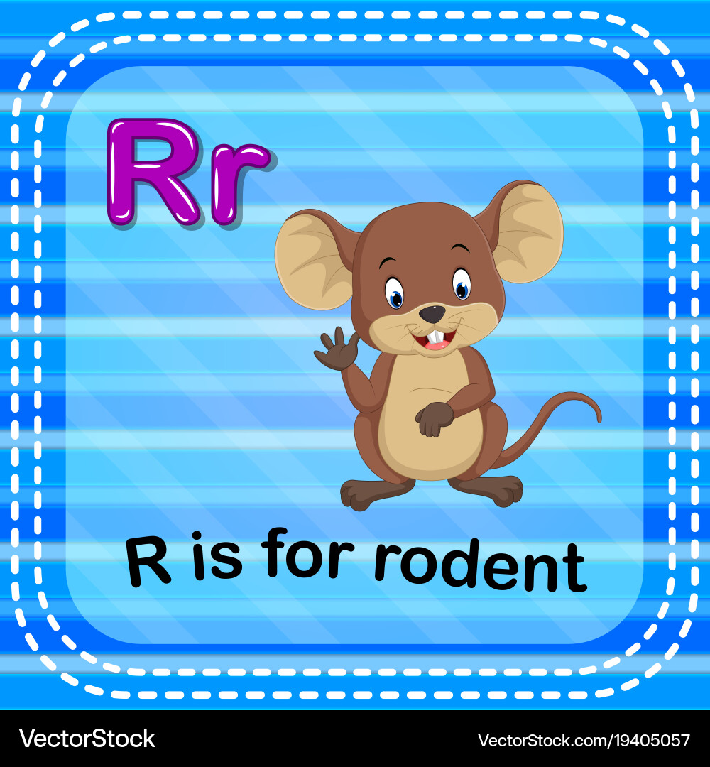 Flashcard letter r is for rodent Royalty Free Vector Image