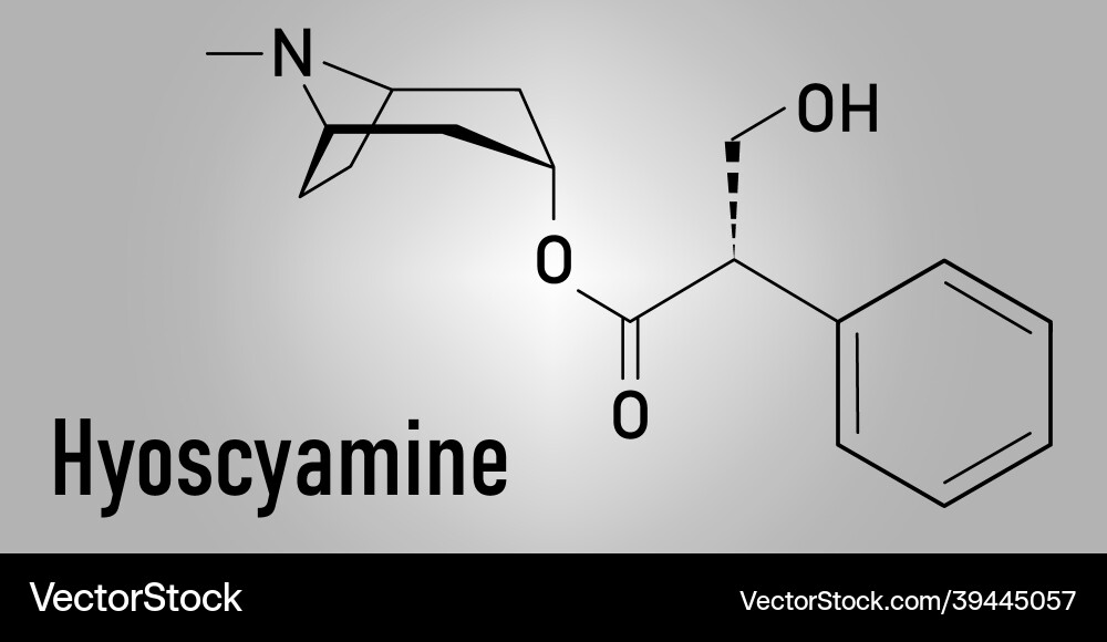 Hyoscyamine alkaloid molecule skeletal formula Vector Image