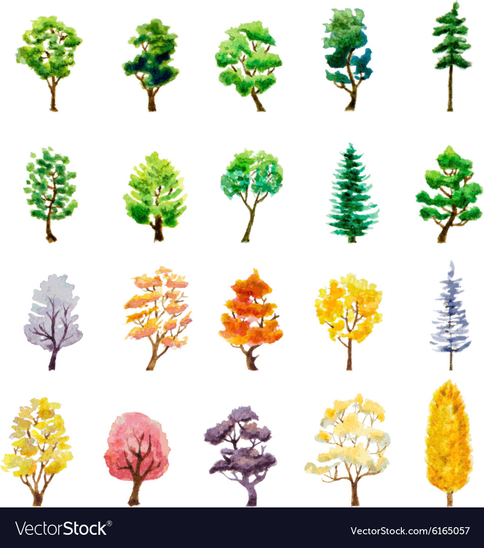 Set of trees Royalty Free Vector Image - VectorStock