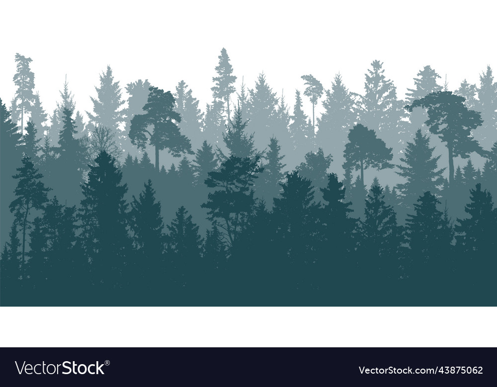 Forest background beautiful landscape wallpaper Vector Image