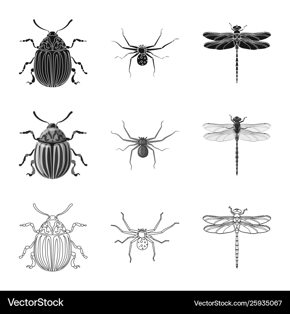 Design insect and fly sign set Royalty Free Vector Image