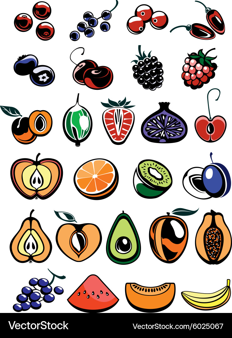 Fruits and berry icons Royalty Free Vector Image