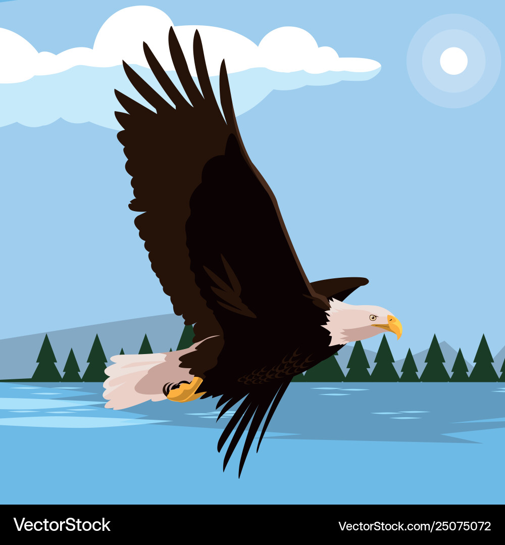 Bald Eagle Flying Drawing Bald Eagles Flying Sky: Over 981