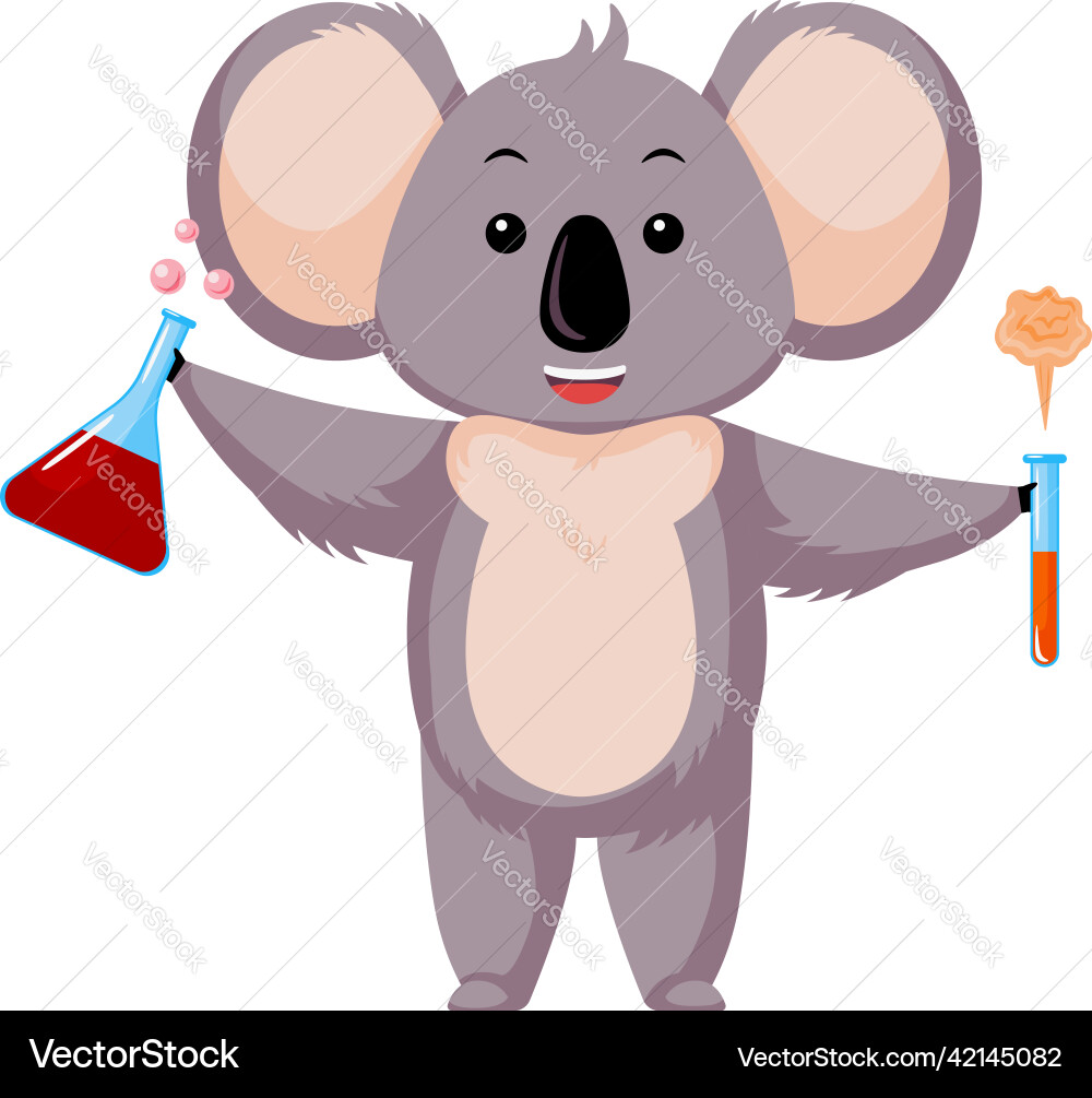 Cute koala scientist isolated on white background Vector Image